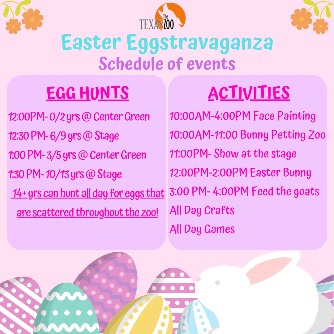 Easter Eggstravaganza | The Texas Zoo